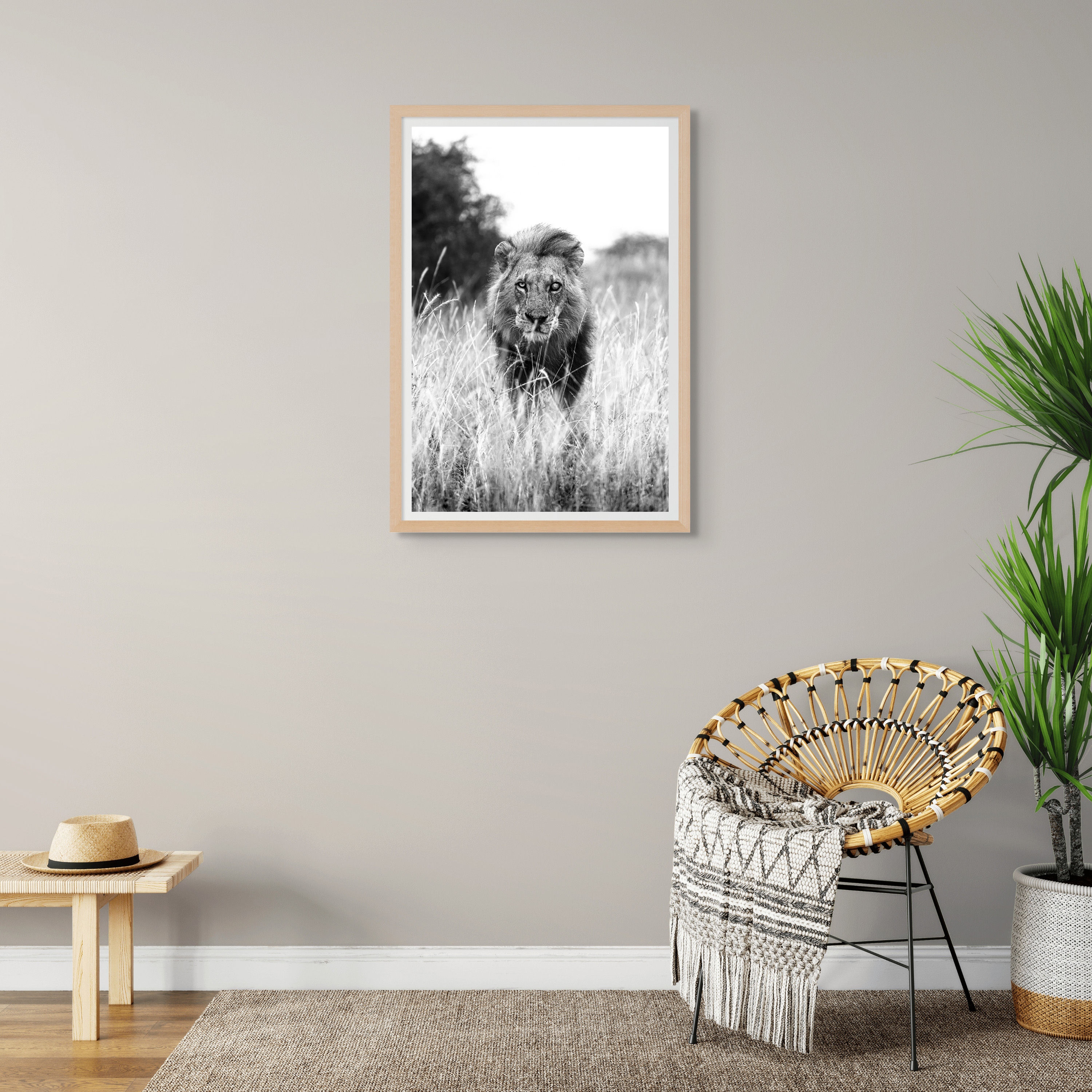 Kitili - Odysseys From Africa